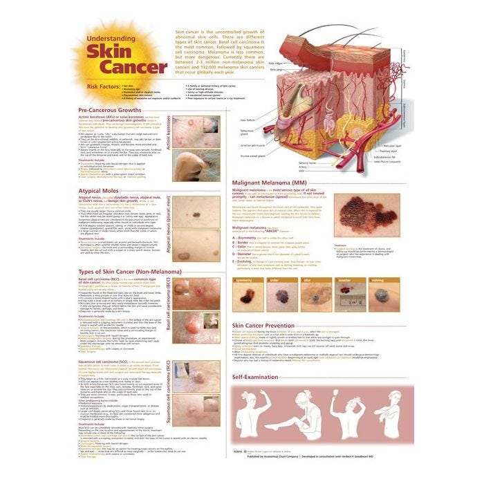 PocketNurse Understanding Skin Charts - CHART, UNDERSTANDING SKIN CANC ...