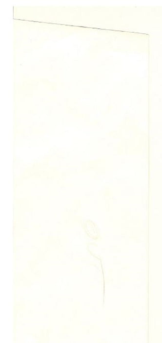 Print Media Paper Chart Roll - Chart Paper Roll, 57" x 24" x 78.73 ...