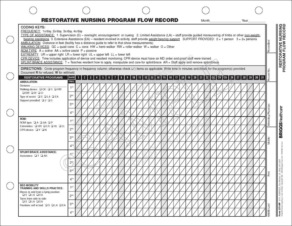 Nursing Charting Flow Sheet