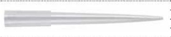 Cardinal Health Micro-Point Tip Pipettes - Pipette Tip, Racked, Steril ...