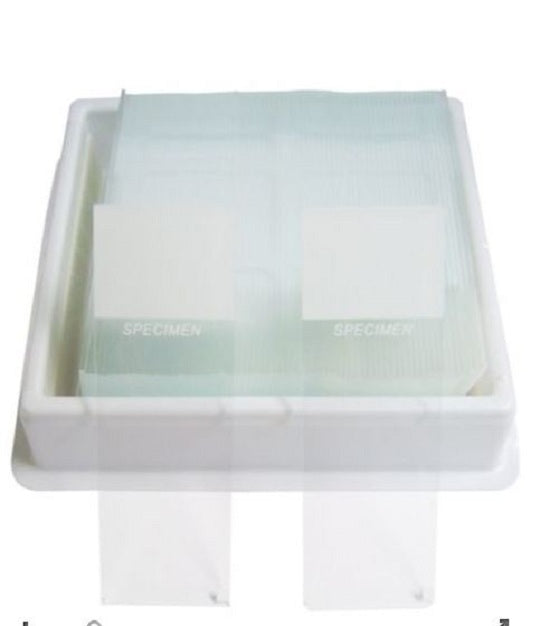 Cardinal Health Frosted White Adhesion Charged Slides - SLIDE, ADHESIO ...