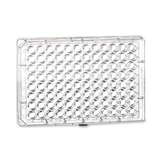 Greiner Bio One Microlon 600 High Binding Microplates - Microlon 600 9 ...