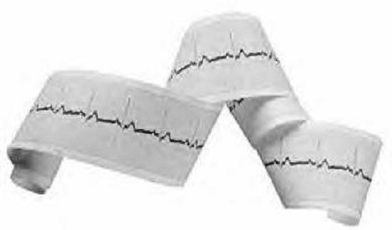 Print Media Corporation Paper Chart Roll - Chart Paper Roll, 50" x 30 ...