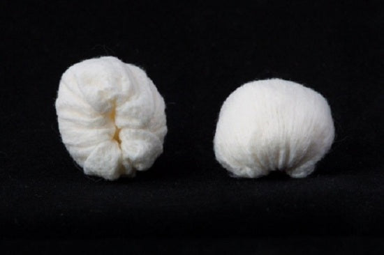 Depuy Super Stopper Sterile Gauze Ball - Super Stopper Gauze Balls, St ...