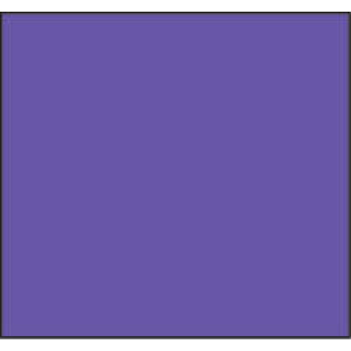 Ames Compatible Large Color Code Label Solid 1 7/8" X 1 7/8" Purple My ...
