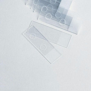 Cardinal Health Fluorescent Slides - Fluorescent Slide, S / P, 3" x 1 ...