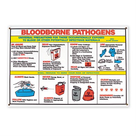 Bloodborne Pathogens Poster — Grayline Medical
