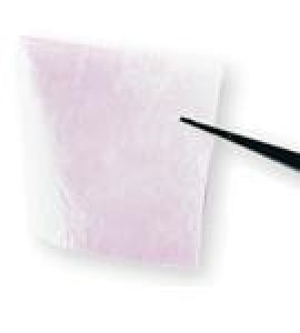Derma Sciences AMNIOEXCEL Allograft Membrane - AmnioExcel Allograft Me ...