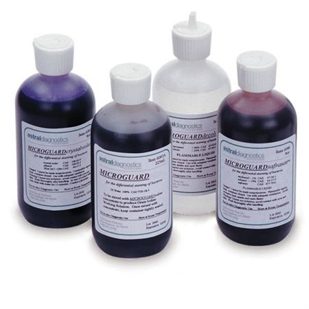 Gram Stain Kits Neat Gram Stain Kit - performs 150 tests — Grayline Medical
