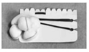 Teleflex Medical Sterile Tonsil Sponges - Cotton Tonsil Sponge, Size M ...