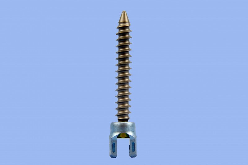 Medtronic CD Horizon Legacy Spinal System - CD Horizon Legacy Spinal S ...