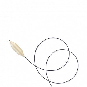 Bard Atlas Gold PTA Dilatation Catheter - Dilatation Catheter, 6.5 Fr ...