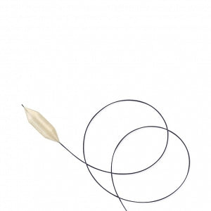 Bard Atlas Gold PTA Dilatation Catheter - Dilatation Catheter, 6.5 Fr ...