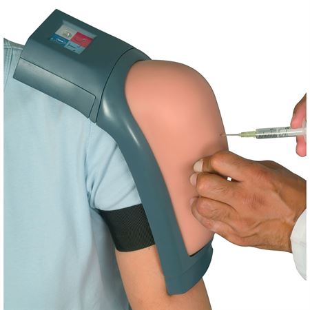 Intramuscular Injection Simulator Right Upper Arm — Grayline Medical