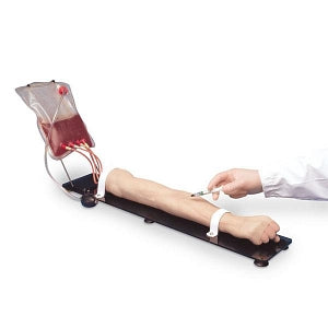 Nasco Venous Training Arms - Venous Arm Simulator - SB23444U — Grayline ...