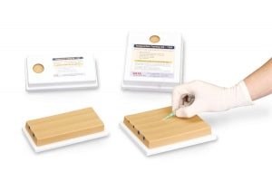 Nasco Two-Vein Venipuncture Training Aid - MODEL, AID2, TRAIN, VEIN, V ...