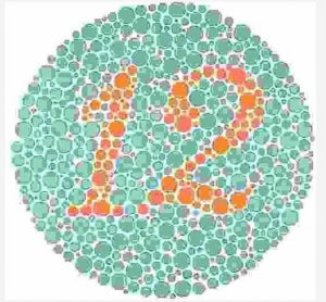 Stereo Optical Company Vision Test Systems - BOOK, TEST, COLOR, ISIHIH ...