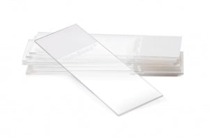 Statlab Medical Products HistoBond Adhesion Slides - MICROSCOPE SLIDE ...