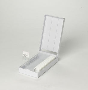 Statlab Histopathology Control Slides - SLIDES, CNTRL, TISSUE, ACID FA ...