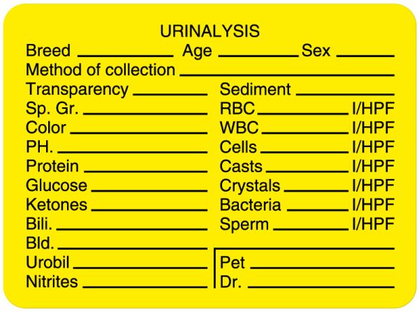 Medical Use Labels - Laboratory Urinalysis Label, 2-3/8" x 1-3/4" — Grayline Medical