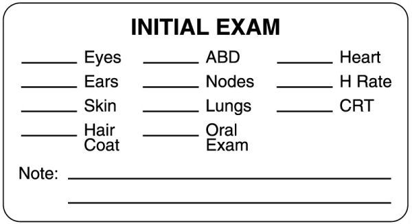 Medical Use Labels - Examination Record Label, 3" x 1-5/8" — Grayline ...