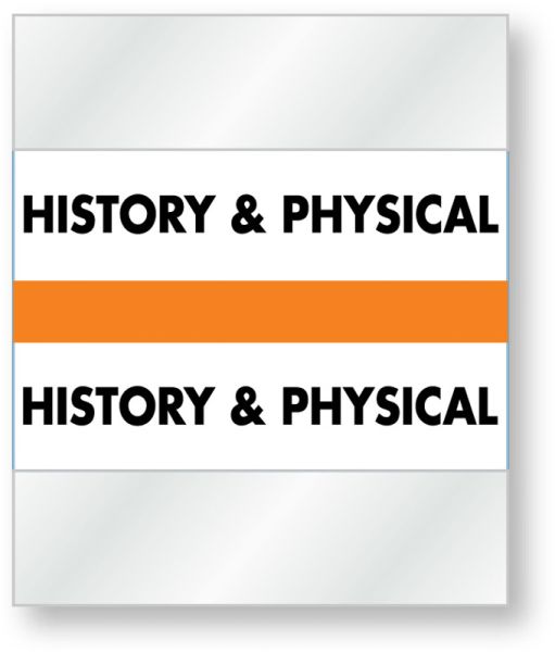 Medical Use Labels - Color-Coded Chart Divider Tabs - Orange - "Histor — Grayline Medical