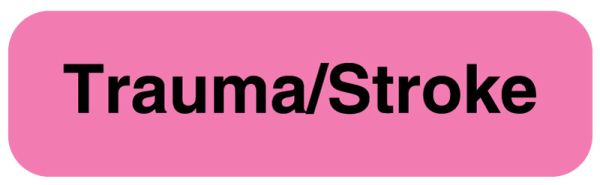 Medical Use Labels - Trauma/Stroke Label, 1-1/4" x 5/16" — Grayline Medical
