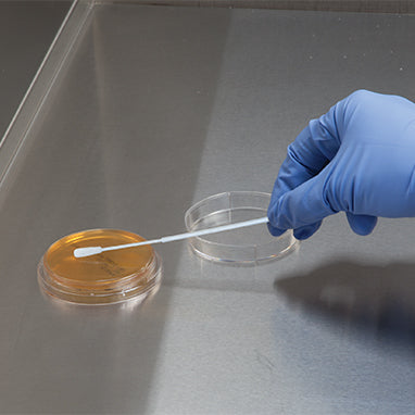 MedValue Malt Extract Agar Contact Plates, 60mm — Grayline Medical