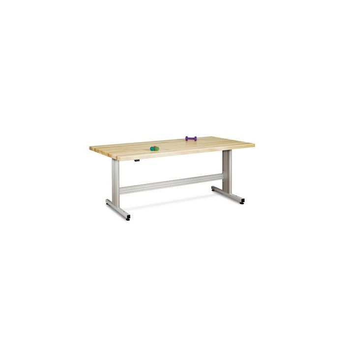 Clinton Group Therapy Table with Electric Height Adjustment — Grayline ...