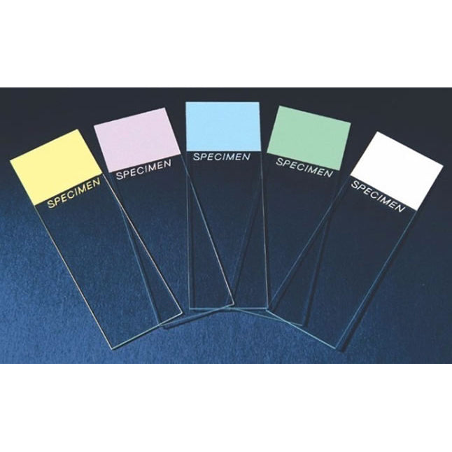 Cardinal Health Colorfrost Slides - Microscope Colorfrost Slide, Yello ...