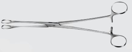 Aesculap Sponge Forceps - FORCEP, SPONGE, SMOOTH JAWS, STRAIGHT, 9.5 ...