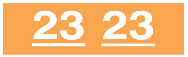 Medical Use Labels - Ames Compatible 2023 Year Label, 1-3/4" x 1/2 ...