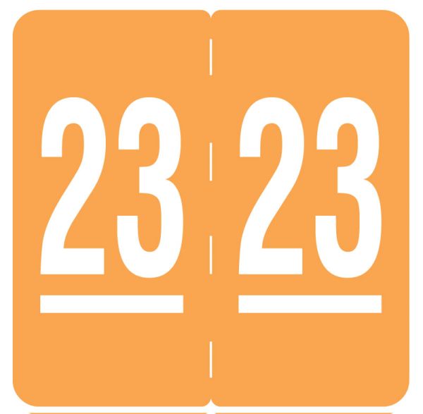 Medical Use Labels - Ames Compatible 2023 Year Label, 1-7/8" x 1-7/8 ...