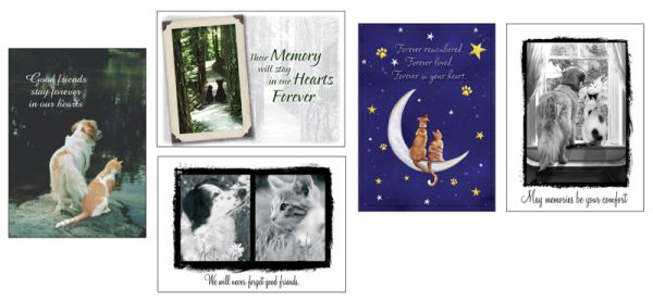 Medical Use Labels - Sympathy Card Assortment, 4X5-13/16 — Grayline Medical